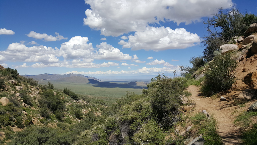Organ Mountain Trails