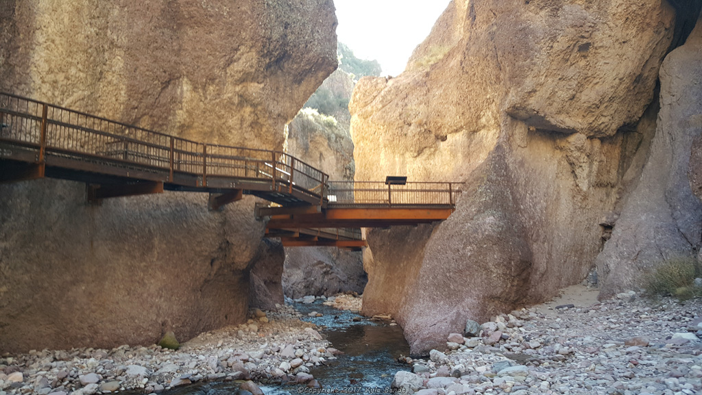 The Catwalk - Live Hoppy